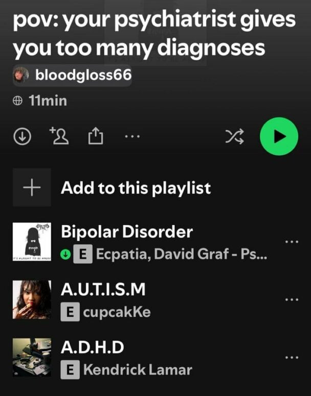 40 Hilariously Weird Spotify Playlists Making Jokes Out Of Song Titles