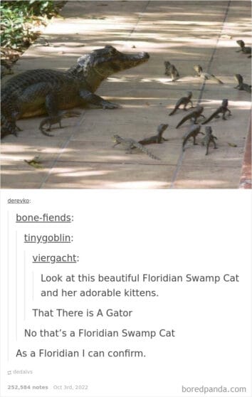 40 Mischievous Animal Memes Of Furry Friends Getting Into All Sorts Of ...