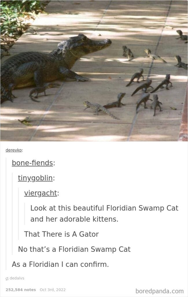 40 Mischievous Animal Memes Of Furry Friends Getting Into All Sorts Of ...