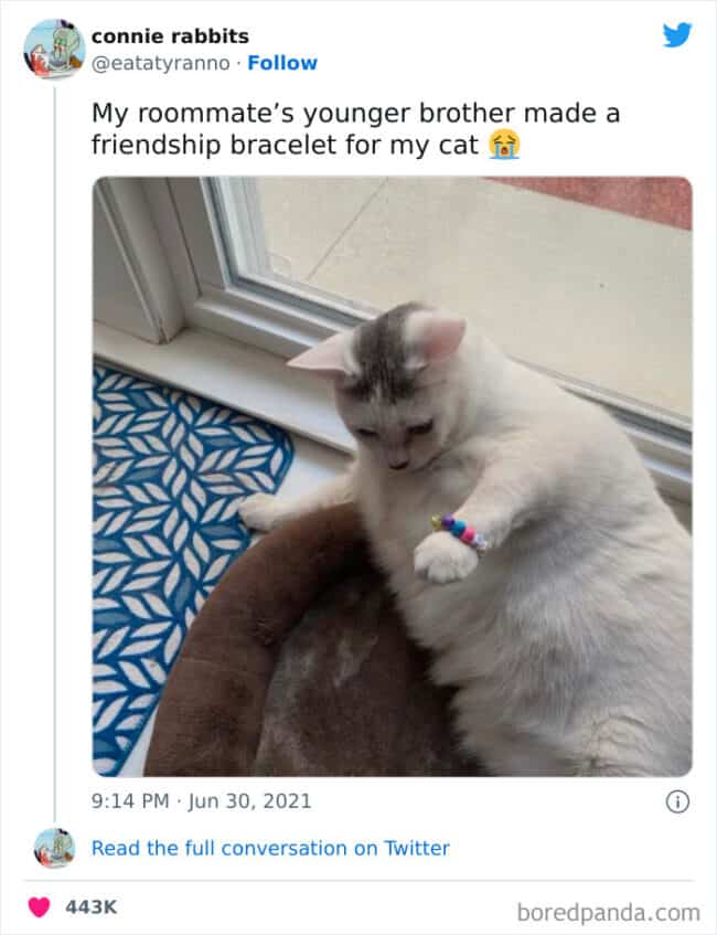 40 Mischievous Animal Memes Of Furry Friends Getting Into All Sorts Of ...