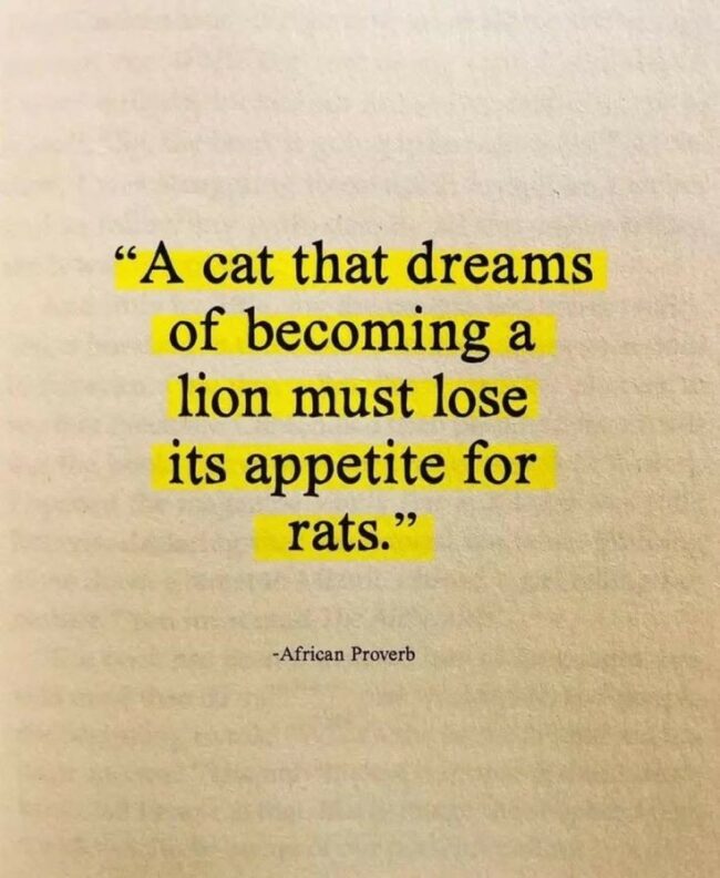 "Self Care Sunday" — 40 Wholesome Memes Promoting Positive Thinking ...