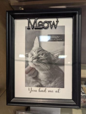 50 Funniest ‘You Had One Job’ Fails That Somehow Made It Past QA This Week