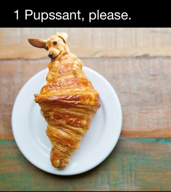 30 Funny Croissant Memes That Are Flaky, But In A Deliciously Good Way