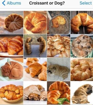 30 Funny Croissant Memes That Are Flaky, But In A Deliciously Good Way