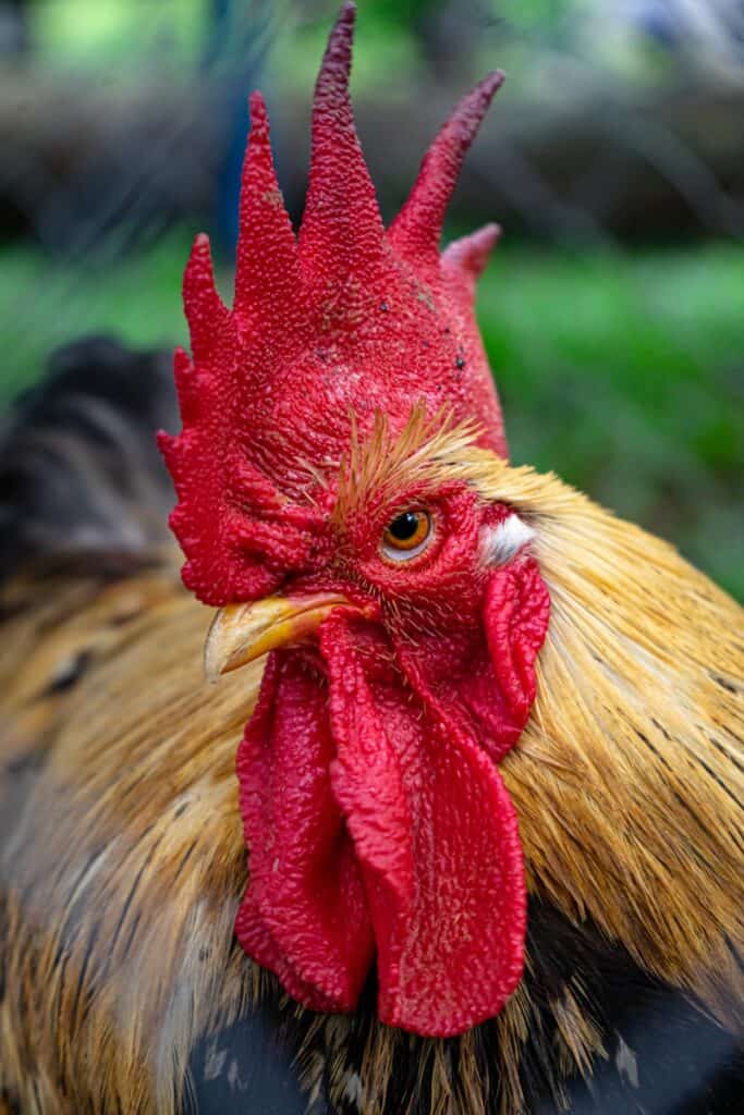 27 People Share The Most Hilariously Embarrassing Moments That Haunt ...