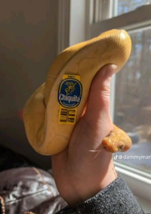 40 Cursed Food Memes And Pictures That Made Us Skip Lunch This Week ...