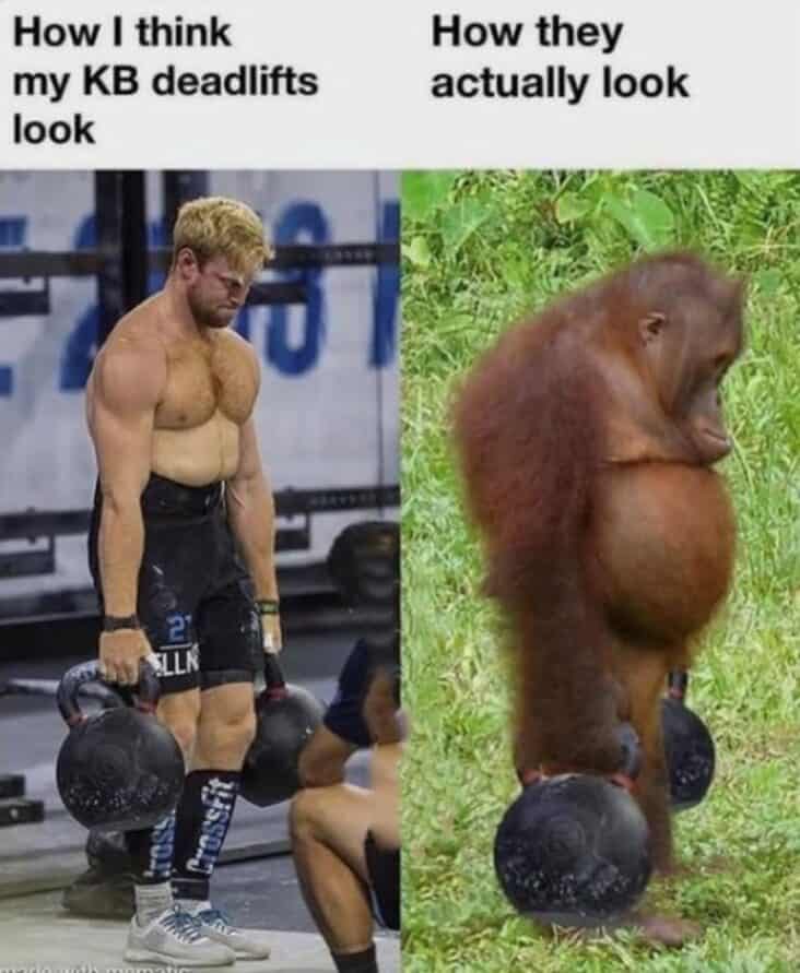 40 Funniest Workout Memes For Gym Rats Who Bring Their Protein ...