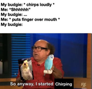 40 Funny Bird Memes For People Who Love A Good Squawk (May 12, 2025)