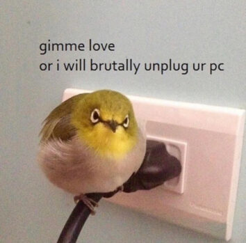 40 Funny Bird Memes For People Who Love A Good Squawk (May 12, 2025)