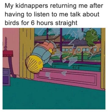 40 Funny Bird Memes For People Who Love A Good Squawk (May 12, 2025)