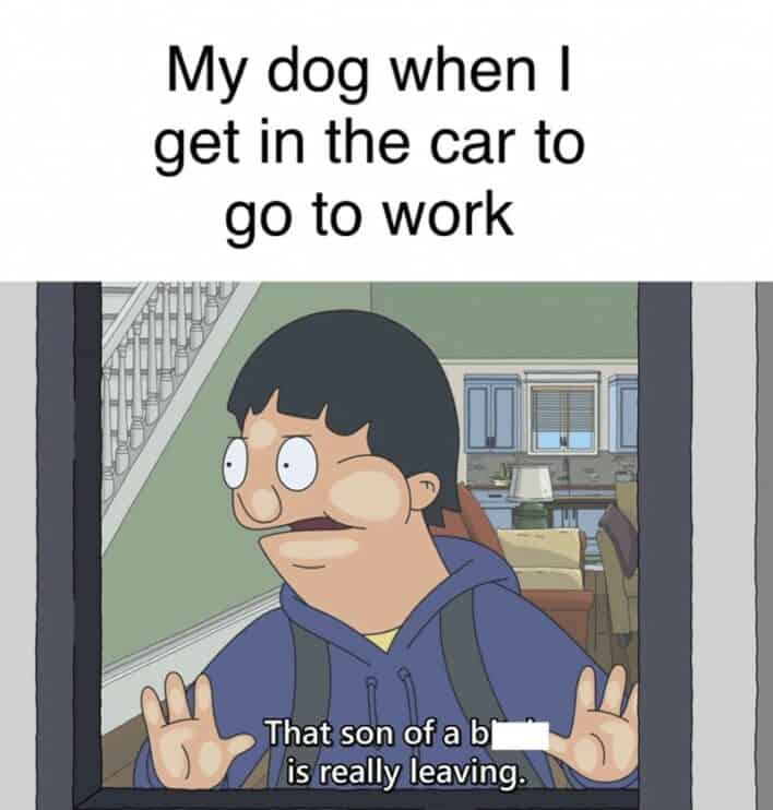 35 Funny Bob's Burgers Memes You'll Love More Than Tina Loves Butts
