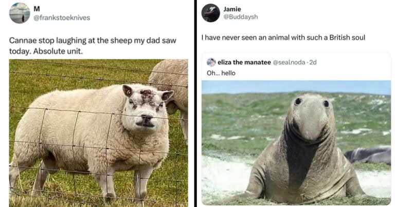 30 Funny British Memes That’ll Make You Laugh In A Very Polite ...