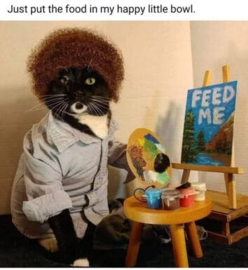 40 Funny Cat Memes That Will Make You Purr With Laughter (May 13, 2025)