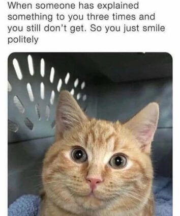 40 Funny Cat Memes That Will Make You Purr With Laughter (May 13, 2025)