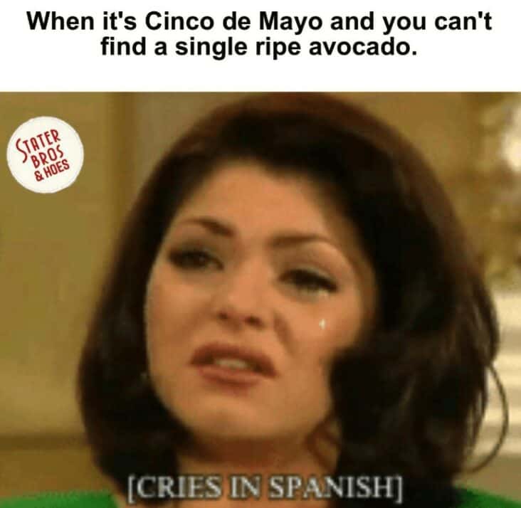 36 Funny Cinco De Mayo Memes That Pair Well With Bottomless Chips And ...
