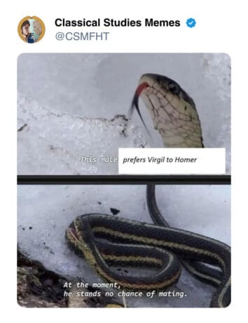 45 Funny Classical Studies Memes Shared By One Brilliantly Nerdy ...