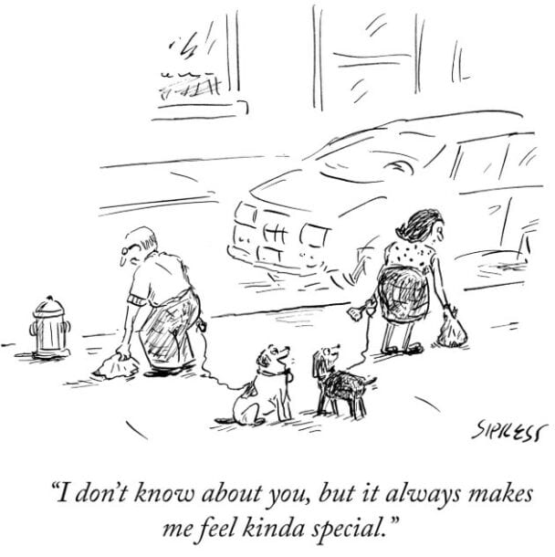 30 Clever Minimalist Comics Wit Biting Wit From Cartoonist David Sipress