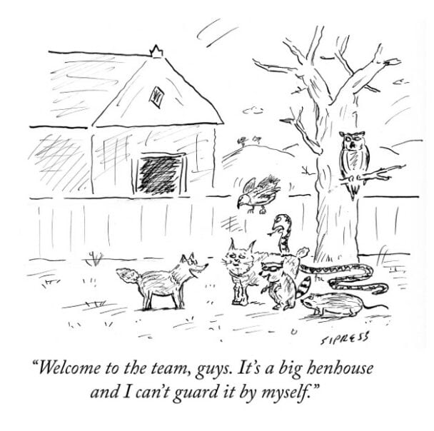 30 Clever Minimalist Comics Wit Biting Wit From Cartoonist David Sipress