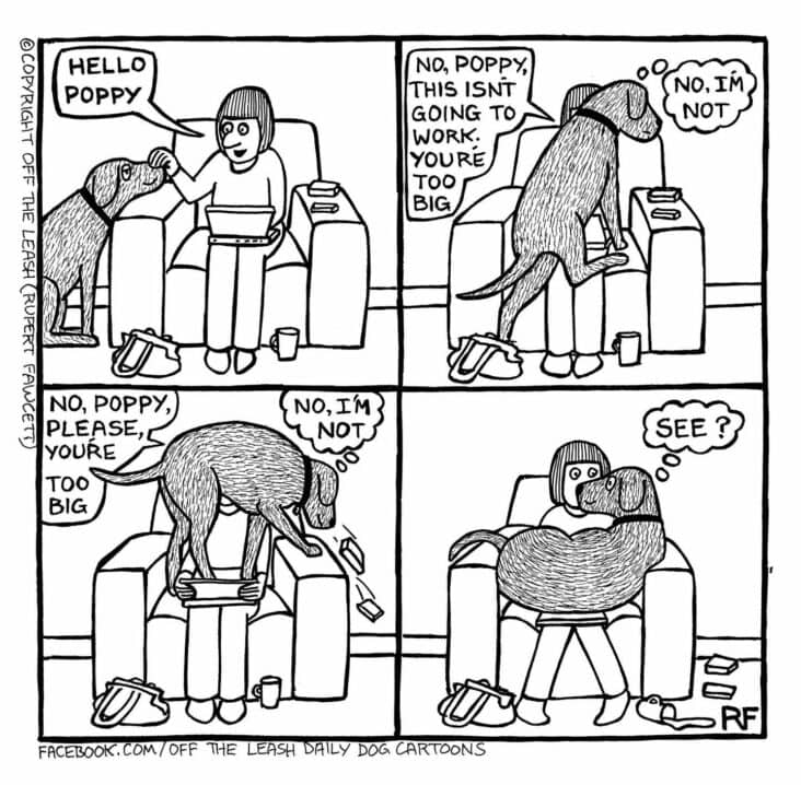 35 Funny Comics For Dog Lovers From Cartoonist Rupert Fawcett