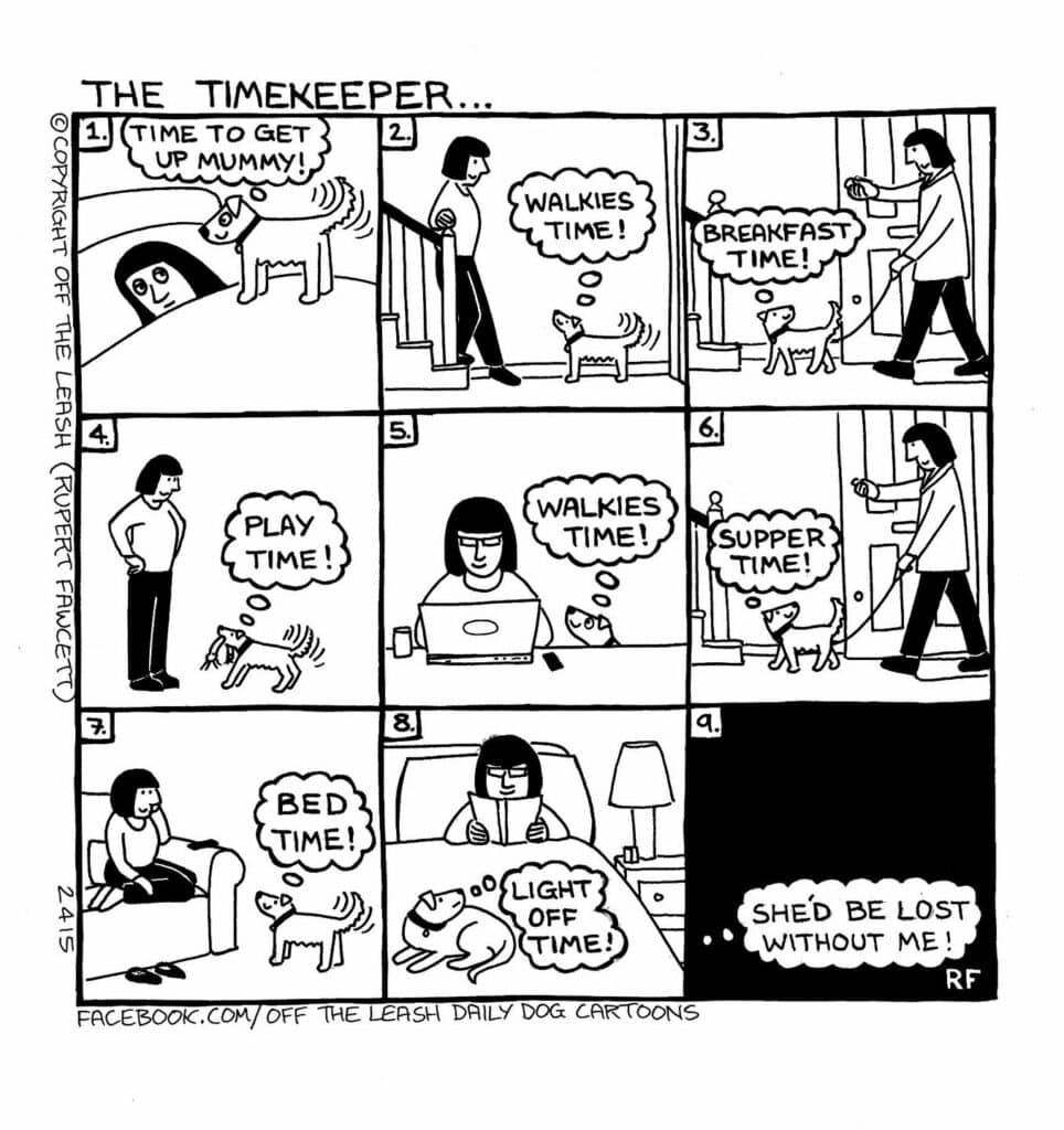 35 Funny Comics For Dog Lovers From Cartoonist Rupert Fawcett