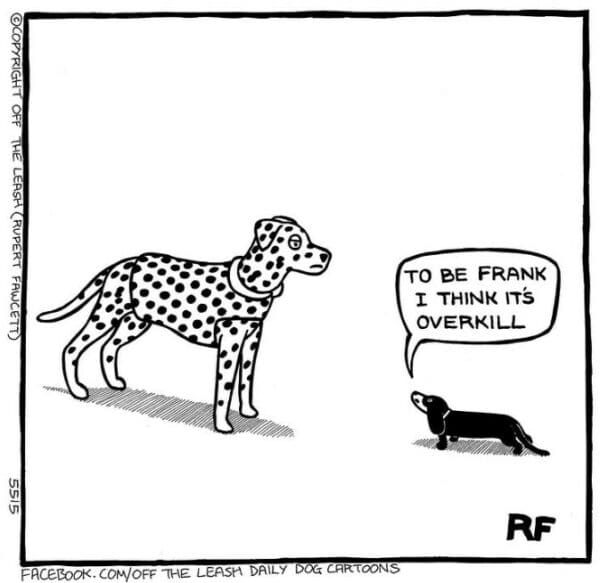35 Funny Comics For Dog Lovers From Cartoonist Rupert Fawcett