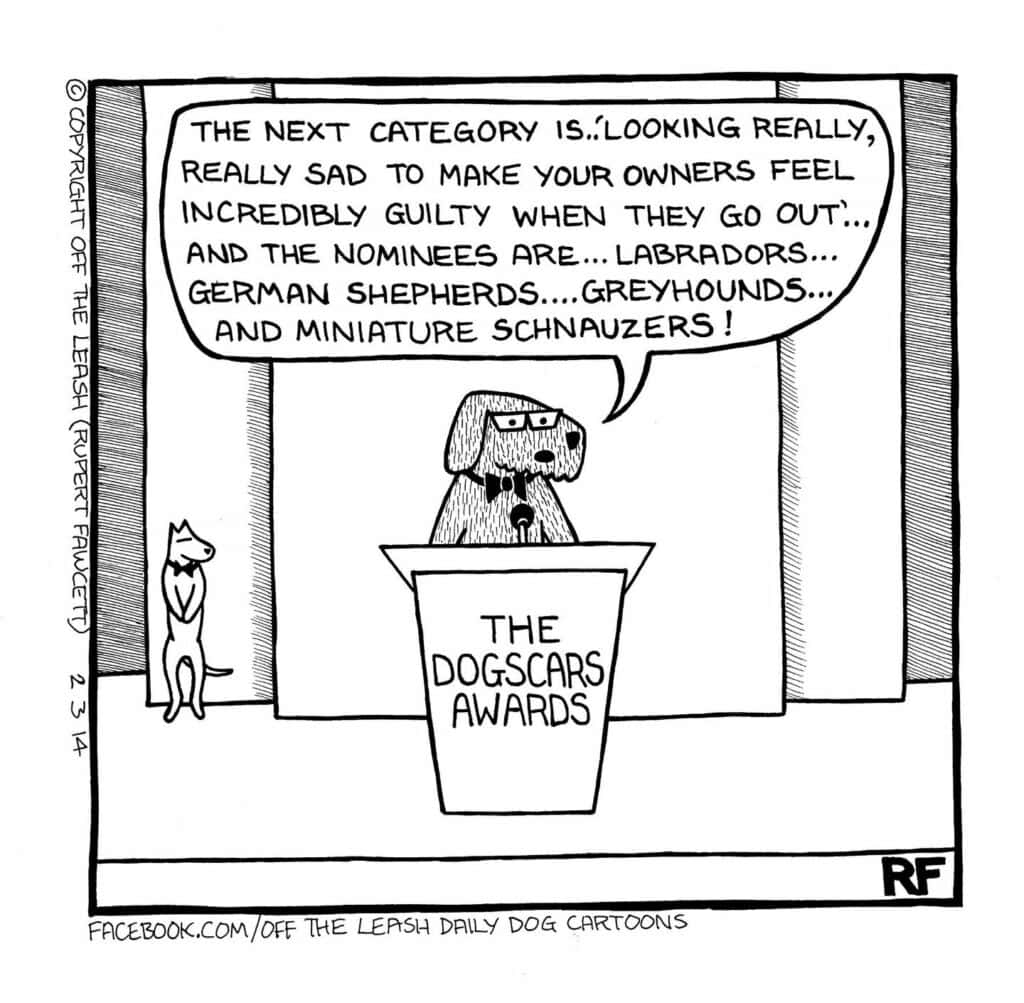 35 Funny Comics For Dog Lovers From Cartoonist Rupert Fawcett