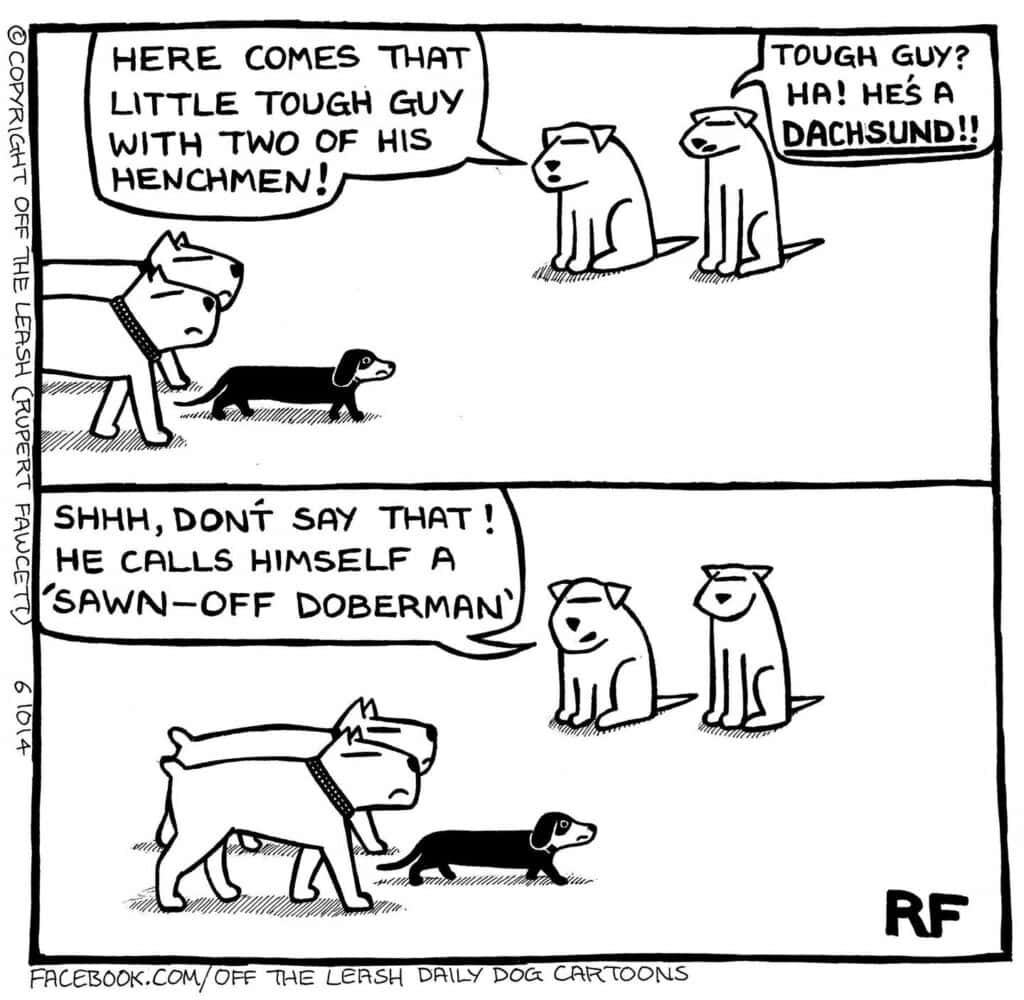 35 Funny Comics For Dog Lovers From Cartoonist Rupert Fawcett