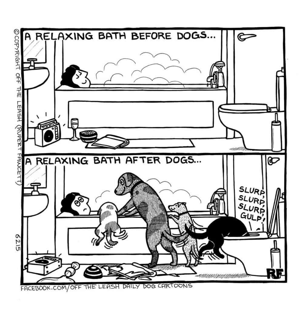 35 Funny Comics For Dog Lovers From Cartoonist Rupert Fawcett
