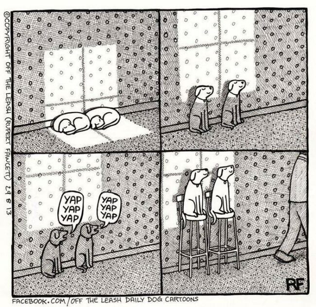 35 Funny Comics For Dog Lovers From Cartoonist Rupert Fawcett