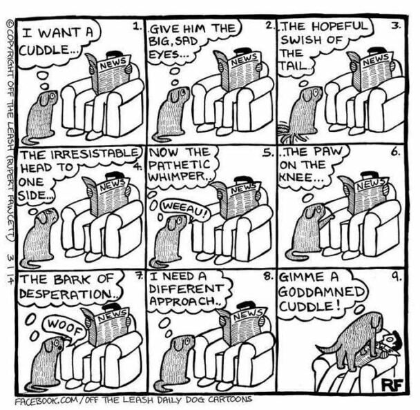 35 Funny Comics For Dog Lovers From Cartoonist Rupert Fawcett