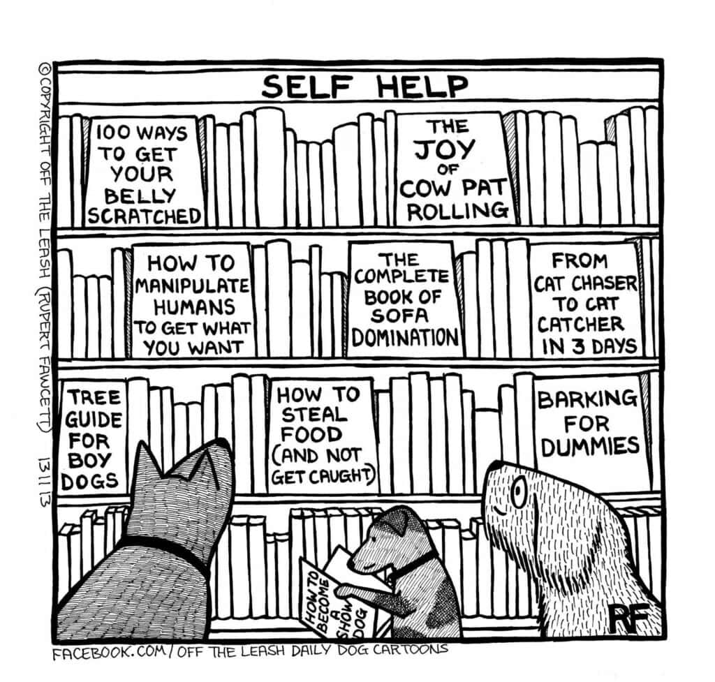 35 Funny Comics For Dog Lovers From Cartoonist Rupert Fawcett