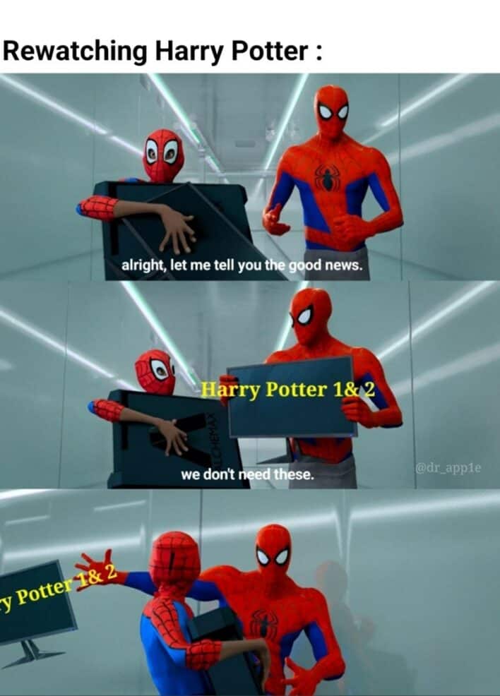 28 Funny Harry Potter Memes For Potterheads Still Waiting On Their ...