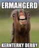 32 Hilarious Kentucky Derby Memes That Are Off To The Races