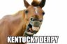 32 Hilarious Kentucky Derby Memes That Are Off To The Races