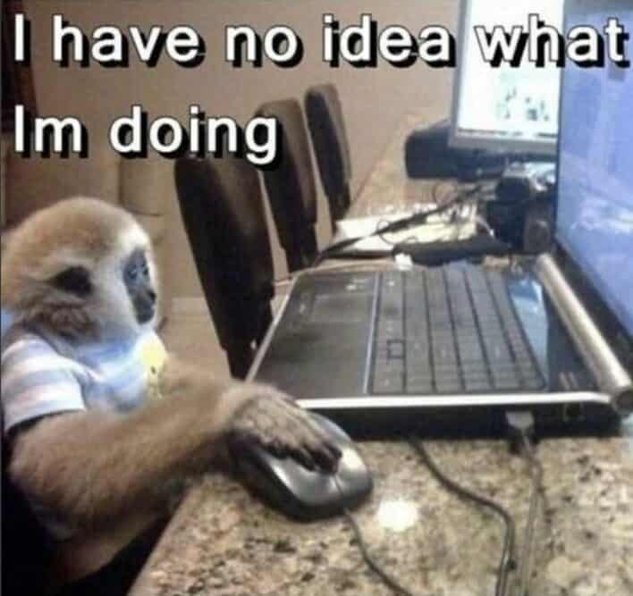 45 Funny Monkey Memes As Relatable As Our Distant Ancestors