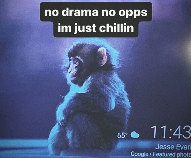 45 Funny Monkey Memes As Relatable As Our Distant Ancestors