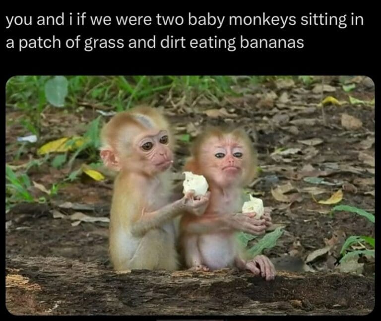 45 Funny Monkey Memes As Relatable As Our Distant Ancestors