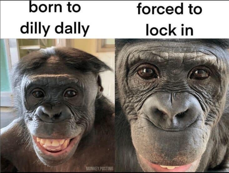 45 Funny Monkey Memes As Relatable As Our Distant Ancestors