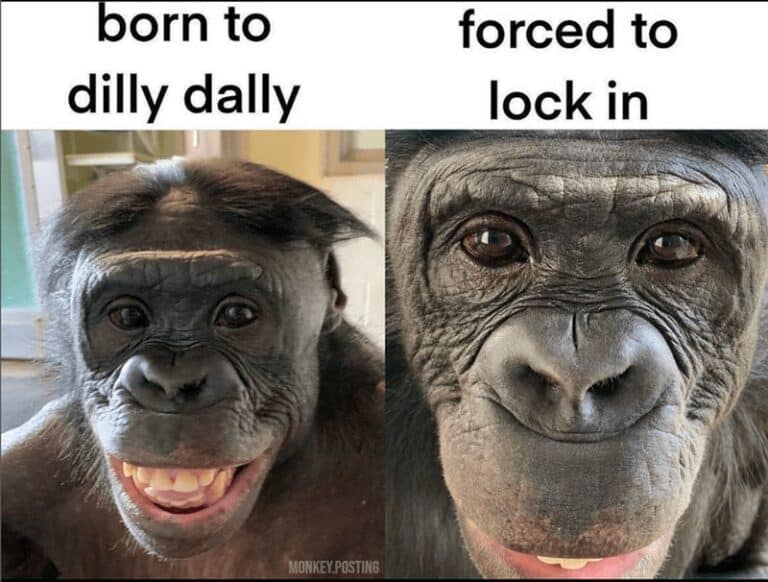 45 Funny Monkey Memes As Relatable As Our Distant Ancestors