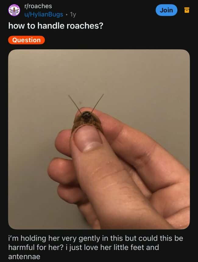 40 Funny Out Of Context Reddit Posts From One Of The Wildest Places On ...