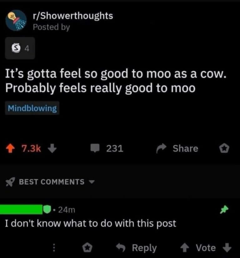 40 Funny Out Of Context Reddit Posts From One Of The Wildest Places On ...