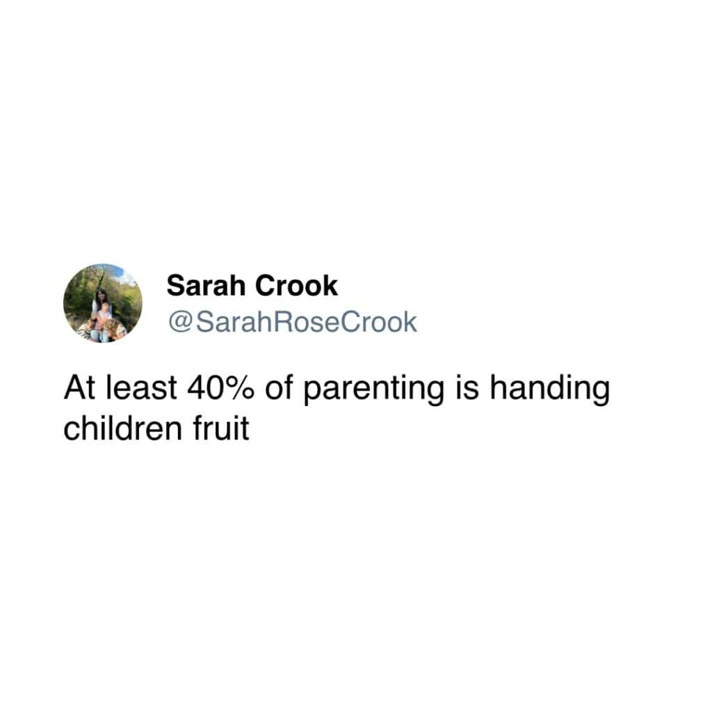 35 Funny Tweets From Parents That Break Down The Math Of Raising Mini ...