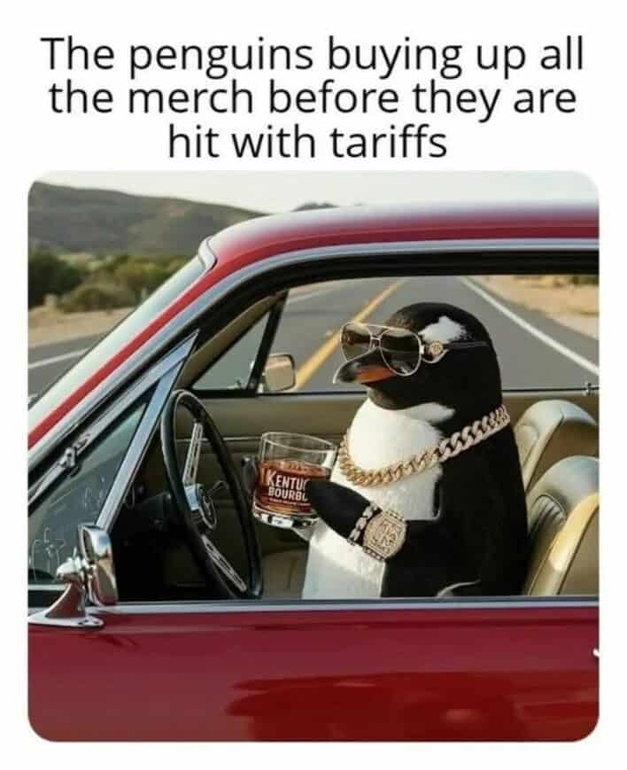 36 Funny Penguin Memes That Are Just Flippin' Hilarious