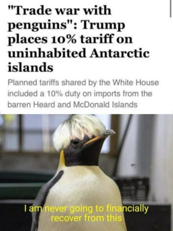 36 Funny Penguin Memes That Are Just Flippin' Hilarious