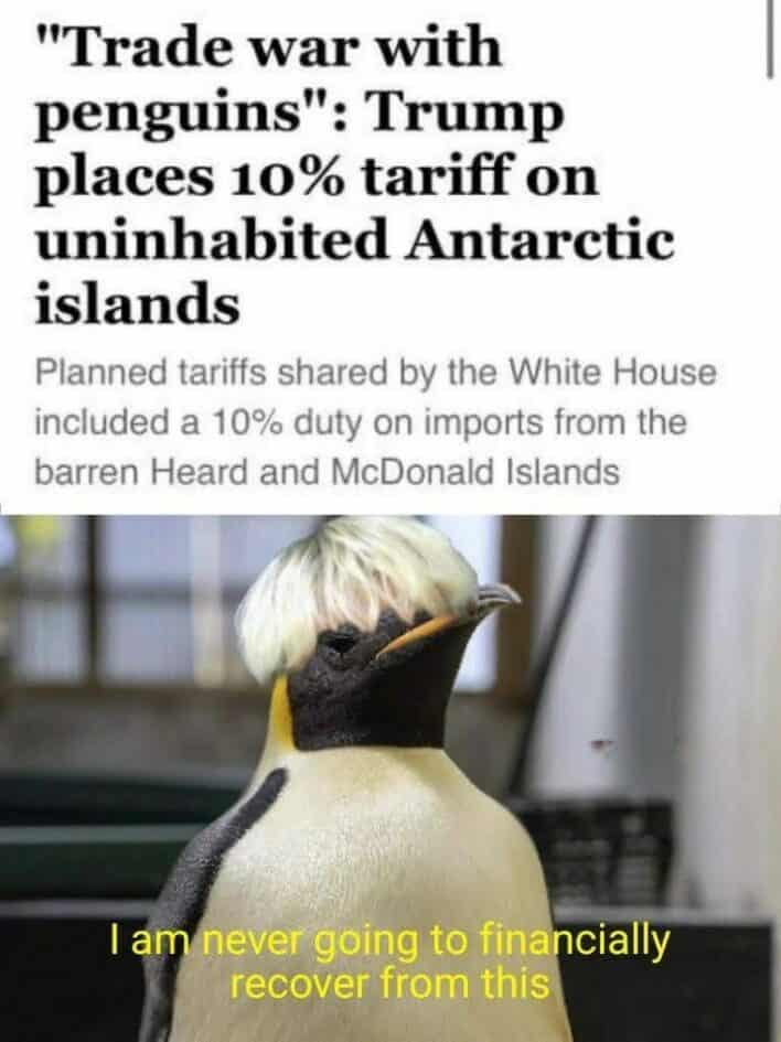 36 Funny Penguin Memes That Are Just Flippin' Hilarious