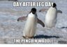 36 Funny Penguin Memes That Are Just Flippin' Hilarious
