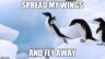 36 Funny Penguin Memes That Are Just Flippin' Hilarious