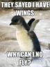 36 Funny Penguin Memes That Are Just Flippin' Hilarious