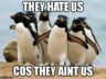 36 Funny Penguin Memes That Are Just Flippin' Hilarious