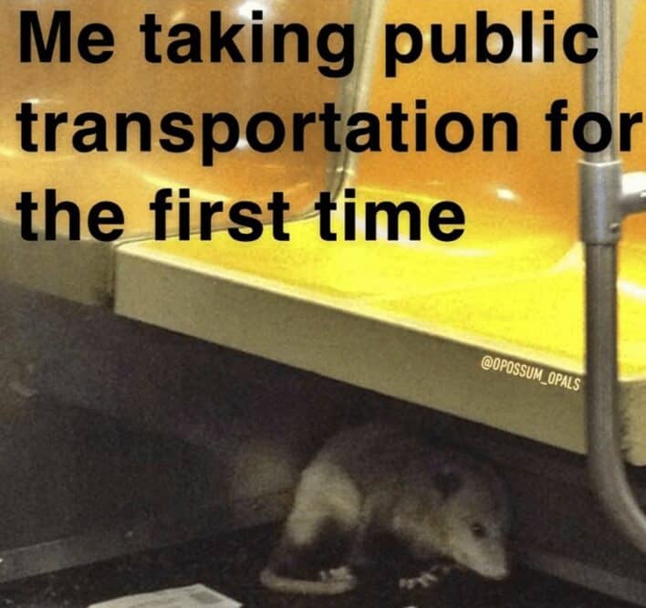 20 Funny Public Transportation Memes That Perfectly Capture the Chaos ...